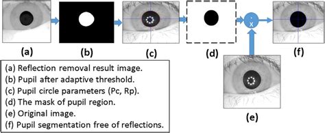 Pupil Detection Steps Download Scientific Diagram