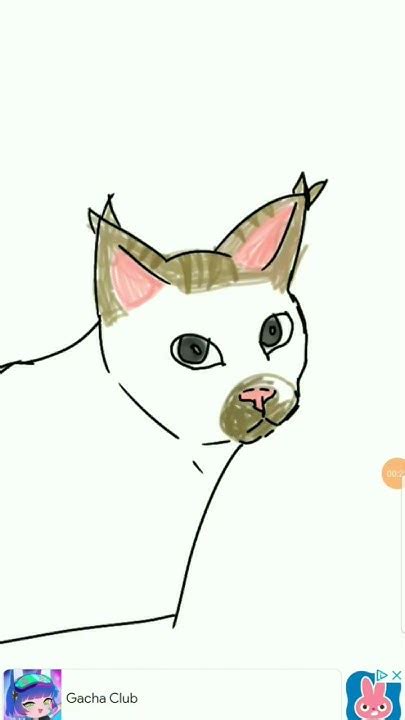 Kitten 3 Fypシ Cat Speeddrawing Youtube