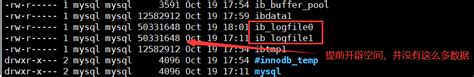 图文结合带你搞懂MySQL日志之Redo Log 重做日志 GreatSQL 博客园