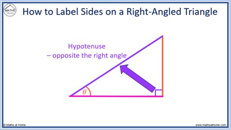 how to find a missing angle in a right angled triangle worksheets