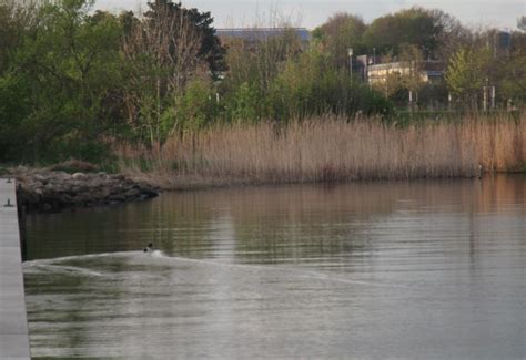 Diffraction And Reflection Of Waves Adventures In Oceanography And