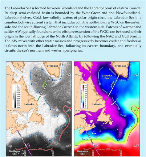 7 Labrador Sea Topography Surface Currents And Temperature At 50 M