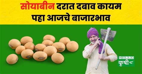 Soyabean Rate सोयाबीन दरात दबाव कायम पहा आजचे बाजारभाव Hello Krushi