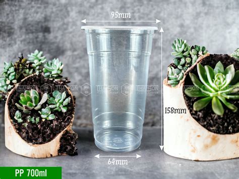 Ly Nhựa Thái Sơn