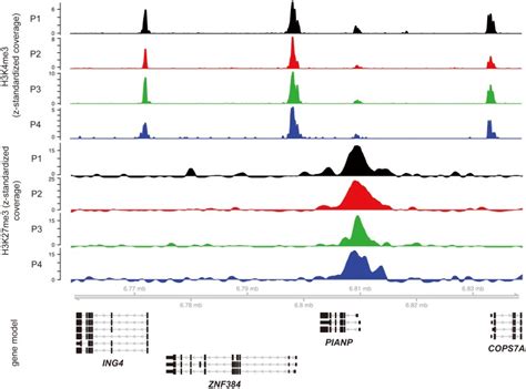 Depicted Are The Z Standardized Chip Seq Coverage Profiles For 2