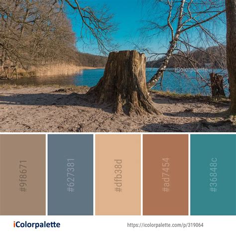 Color Palette Ideas From Tree Plant Grass Image IColorpalette