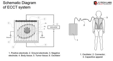 Electro Capacitive Cancer Theraphy Ecct Devices Ctech Laboratories
