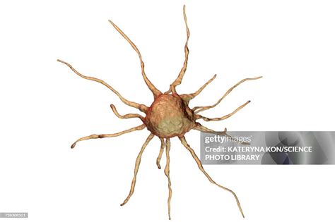 Cancer Cell Illustration High Res Vector Graphic Getty Images