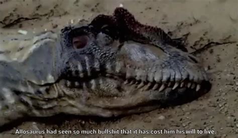 Dinopedia Comes Up With Dinosaur Related Memes And Roasts Fandom