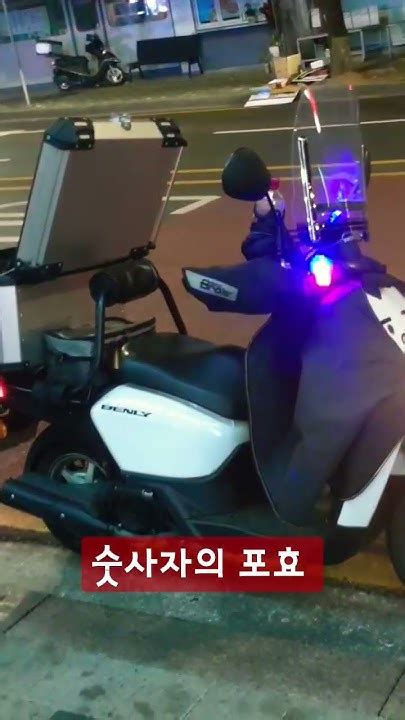 숫사자의 포효 Youtube