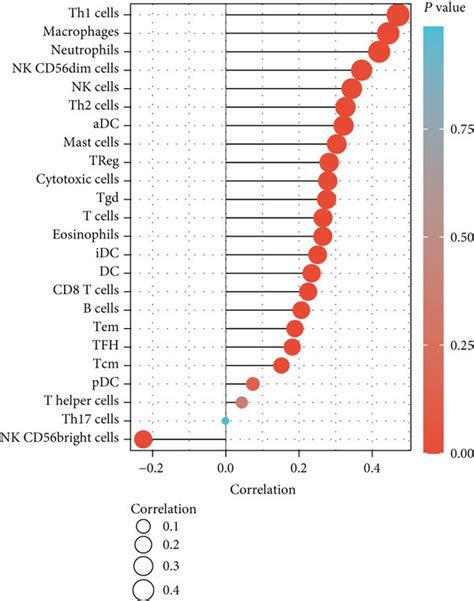 Lollipop Plot Shows The Correlation Between Tm Expression And Immune