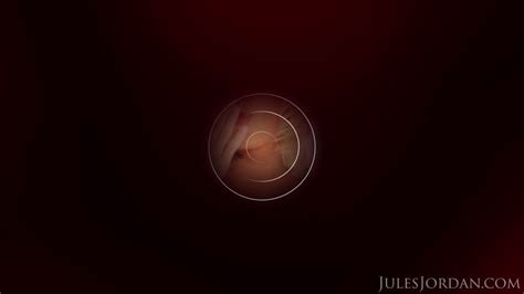 Mrbigd On Twitter Rt Julesjordan Alex Grey Is Back To Bless Us 🙏🏻