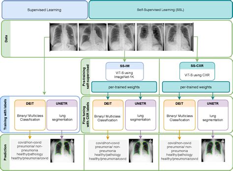 Ss Cxr Multitask Representation Learning Using Self Supervised Pre