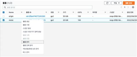 Aws Ubuntu EC2 볼륨 축소하기