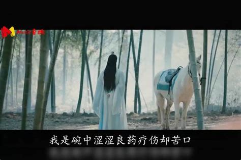 半阳公子的这曲《花间酒》又把人听醉了，姑娘可否与我共度此生
