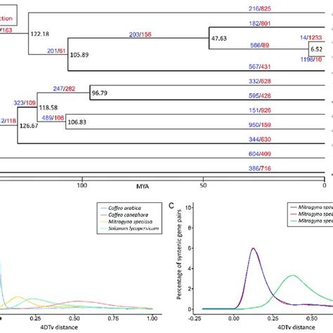 Comparative Genomics Of M Speciosa And Related Species A A Download Scientific Diagram