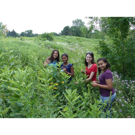 Out And About Stem Clearinghouse