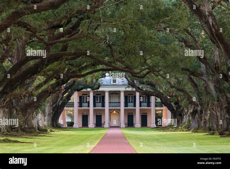 Oak Alley Plantation Antebellum Mansion House And Canopy Of Live Oak
