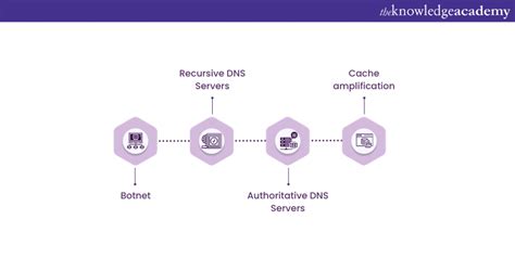 What Is Dns Flood Attack A Guide For Beginners