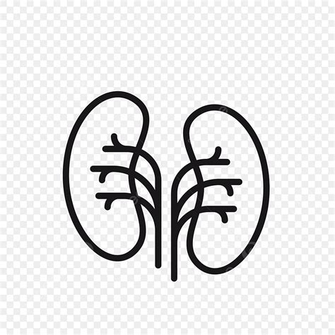 腎臟 圖標 圖案 腎臟圖標 補腎 圖標 圖案向量圖案素材免費下載，png，eps和ai素材下載 Pngtree