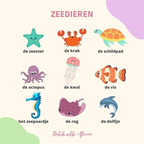 Best 13 Dutch Conjugation Chart Artofit