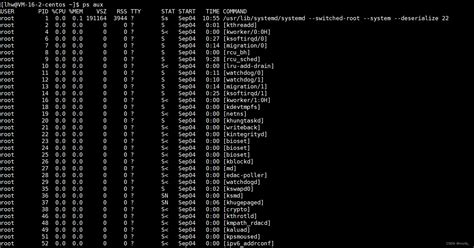 Linux进程精讲 Csdn博客