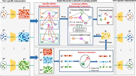 Figure 1 From Triple Granularity Contrastive Learning For Deep Multi