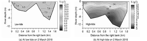 The Vertical Distribution Of Salinity At Cross Section 1 5km In Tran Download Scientific