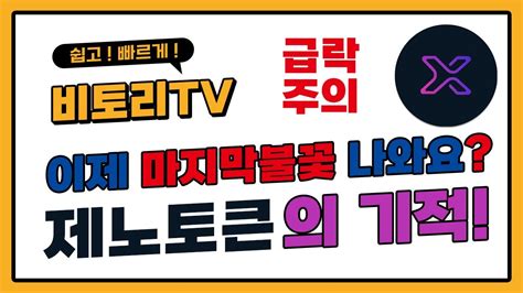 김치의 왕 제노토큰 마지막불꽃 어떻게 타오를까 지금이 바닥인가요 Youtube