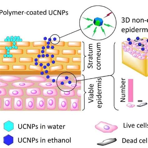 A Brief Outline Of Different Nanomaterials Synthesis Methods Download
