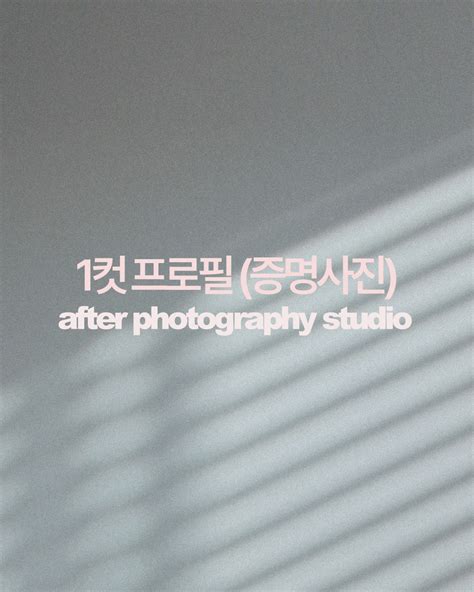 에프터더레인스튜디오 새롭게 선보이는 자연광화보컨셉 프로필입니다 너무 신나서 노래까지 부르던 너는 까맣게 잊고 분위기