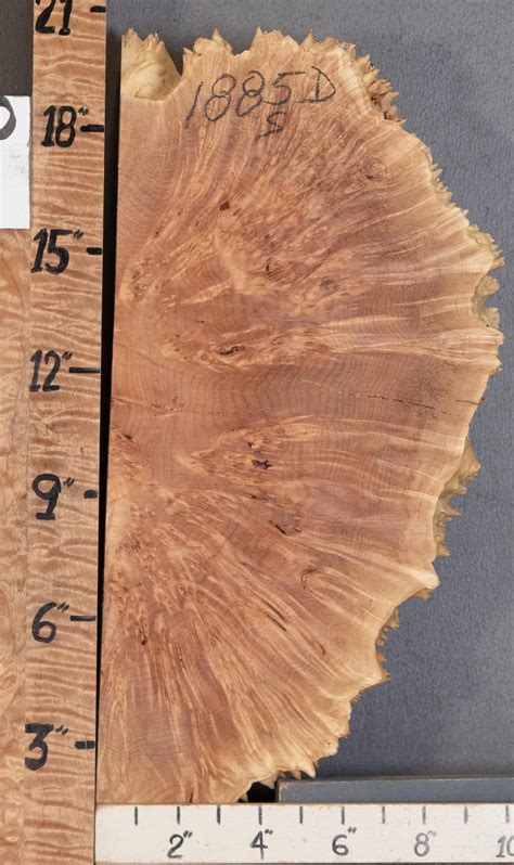 5a Block Burl Maple Nwt 1885d