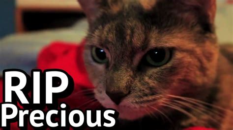 Precious Tribute Sml Youtube