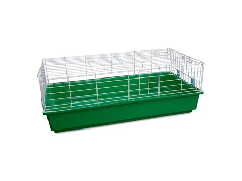 Chick Starter Kit Talking Hens