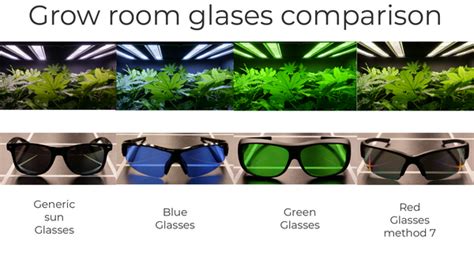 Do You Need Grow Room Glasses Migrolight