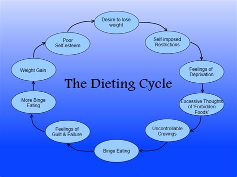 The Dieting Cycle Life Symmetry Chiropractic Blog