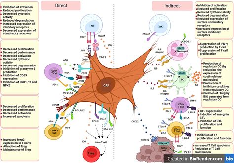 Frontiers Immune Checkpoint Inhibitors As Mediators For