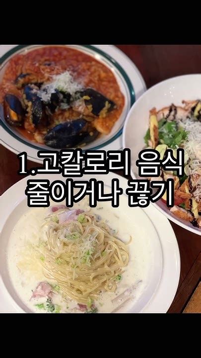 한달 10kg 빼는 현실적인 방법3가지 Youtube