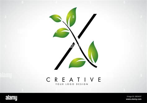 Leaf Letter X Logo Design With Green Leaves On A Branch Letter X With Nature Concept Eco And