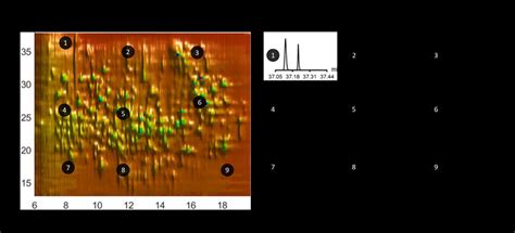 On Line Hilic X Rplc Uv Hrms Analysis Of A Tryptic Digest Of 6 Download Scientific Diagram