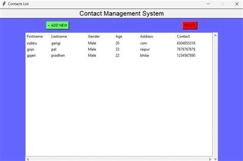 6666ff python programming project softwaredevelopment