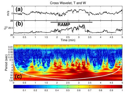A Five Minutes Of The Vertical Wind Velocity B Temperature