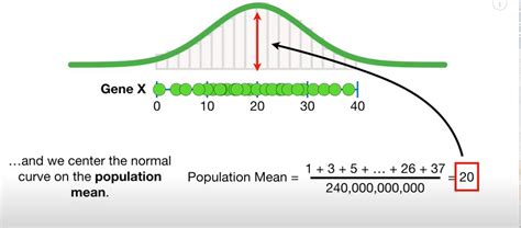 03 Calculating The Mean Variance And Standard Deviation By