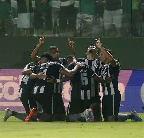 Botafogo Perde A Invencibilidade Mas Permanece Líder Agência Uva