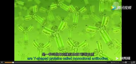 免疫治疗pd1与pdl1有什么区别？ 知乎