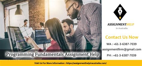 BN111 Programming Fundamentals Assignment By The Best Australian