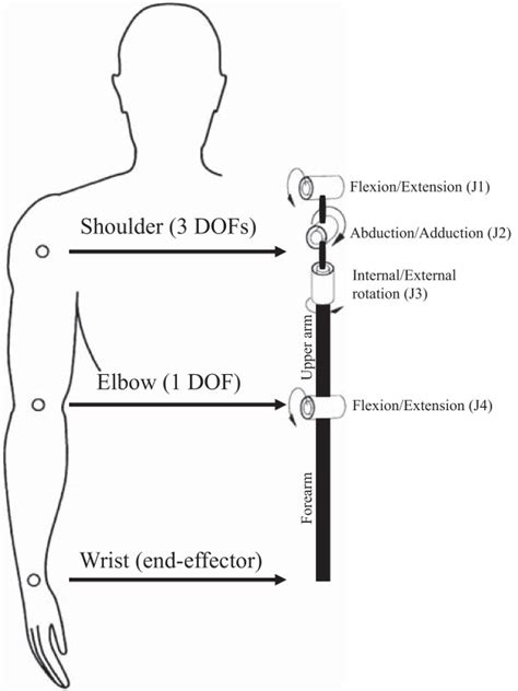 Kinematics Of The Proposed Model The Kinematic Diagram Of The Proposed