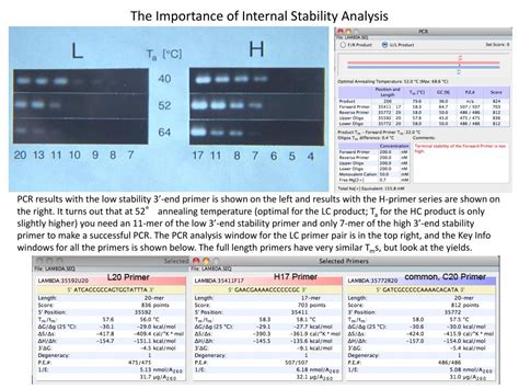 Ppt Oligo 7 Primer Analysis Software Powerpoint Presentation Free