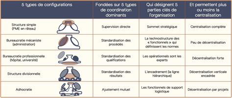 Exemple D Une Structure D Organisation Selon Mintzber