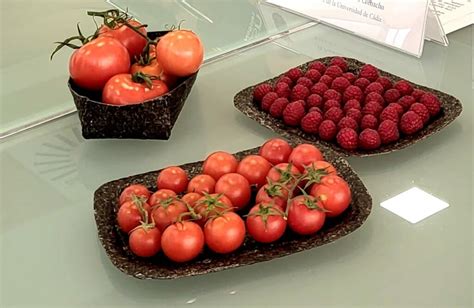 El Grupo Operativo Agrario AlgaEcopack Presenta Su Primer Prototipo